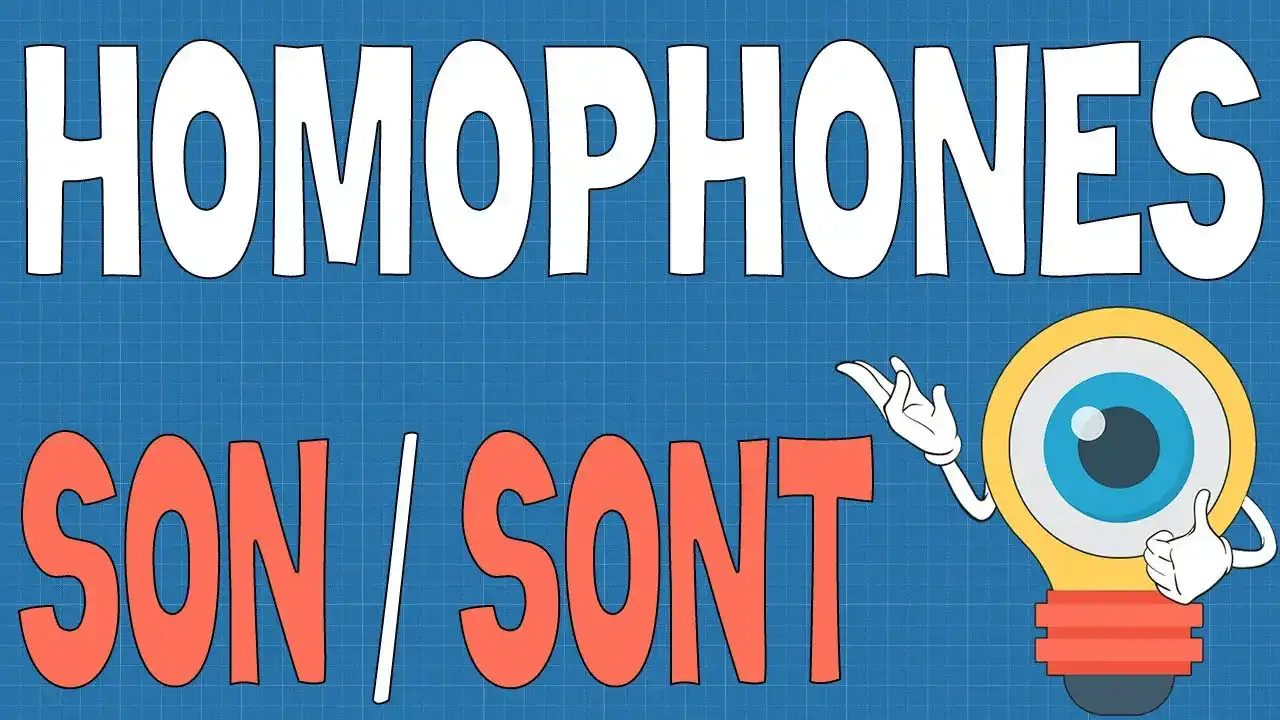 Homophones SON et SONT - Leçon et Exercices - VideoTutoriels