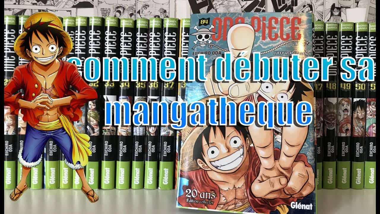 Comment bien Débuter sa mangathèque ? / Tutoriel - VideoTutoriels