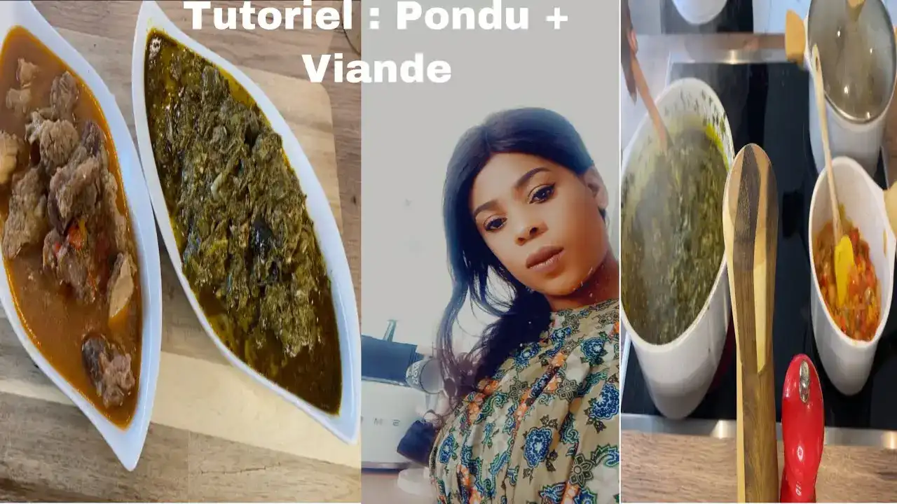 Tutoriel : Comment Faire Du Pondu - VideoTutoriels