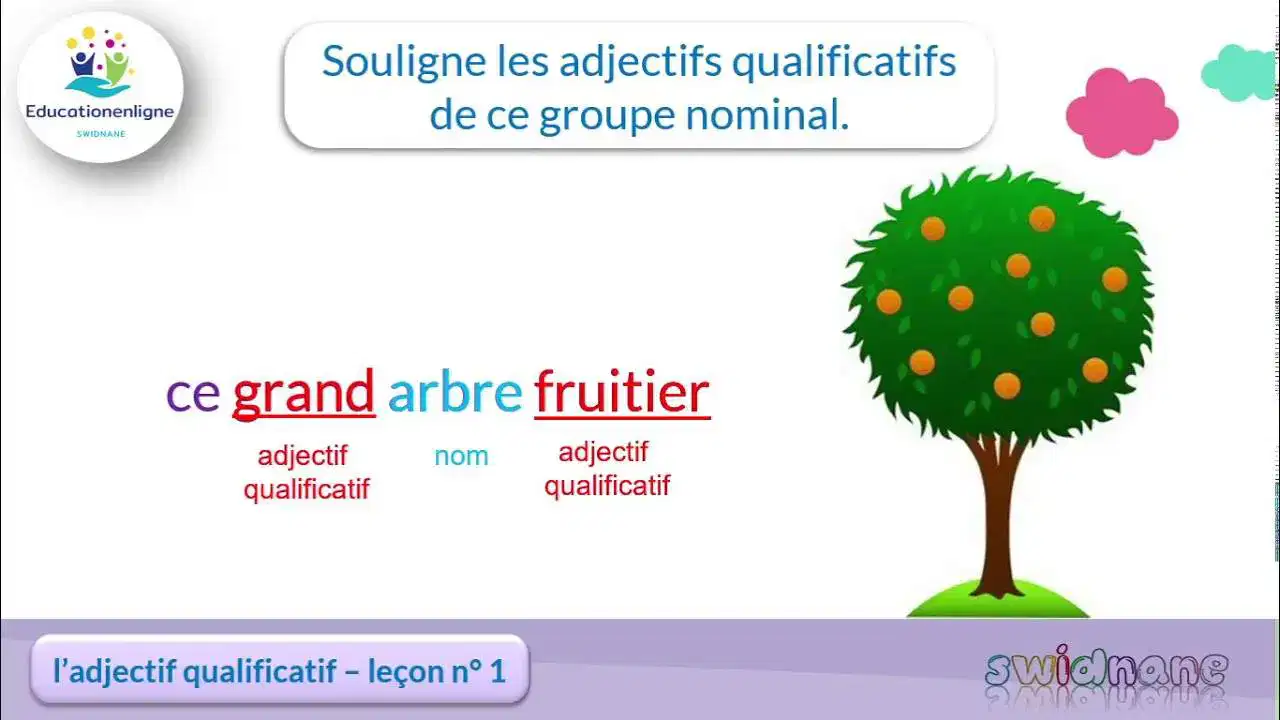 l'adjectif qualificatif - leçon n°1 - VideoTutoriels