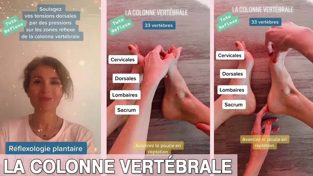 La colonne vertébrale - Tutoriel de réflexologie - © Véronique Lecerf - VideoTutoriels