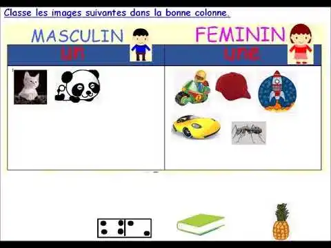 Leçon 13 : Le genre des noms: masculin ou féminin - VideoTutoriels