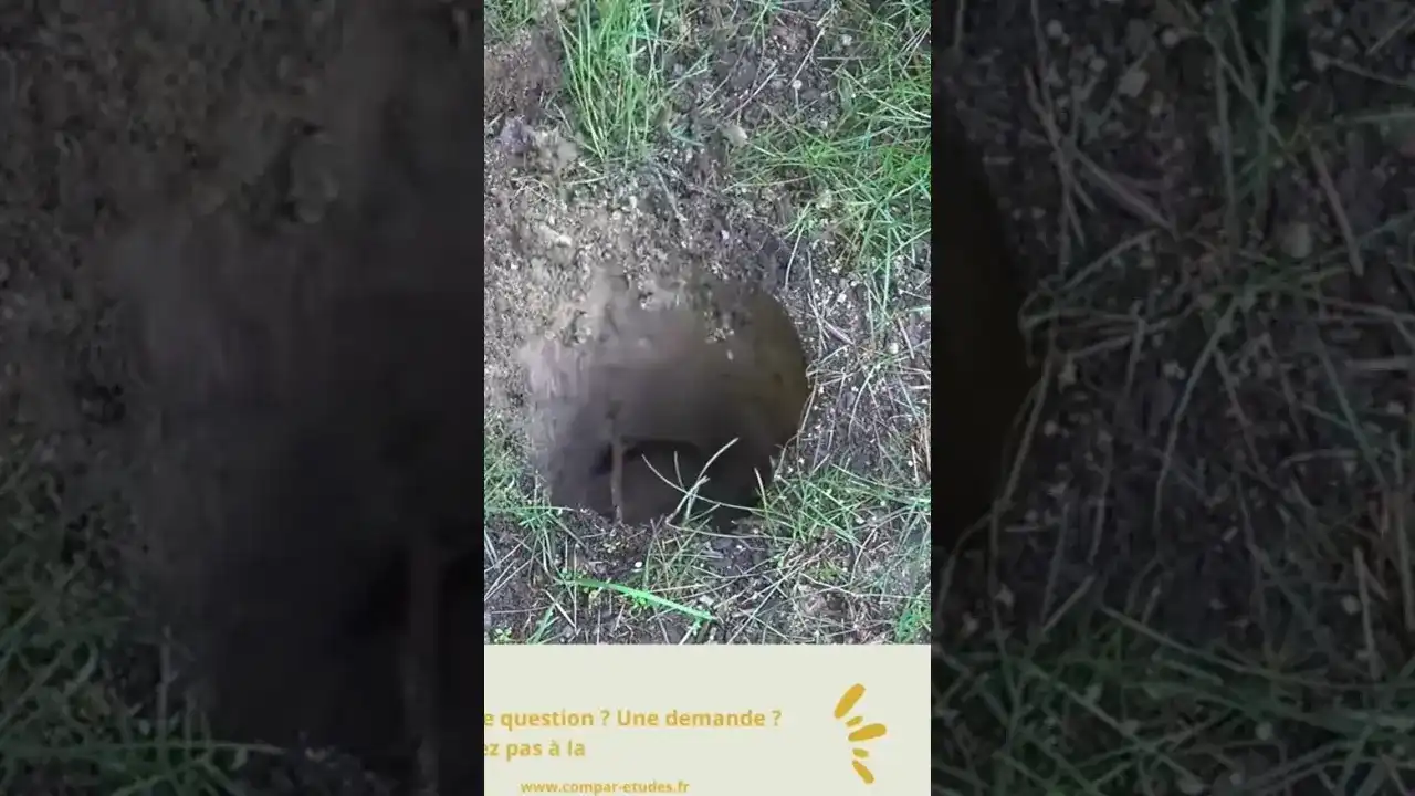 Creuser un trou avant forage #forage #tutoriel #comparétudes ...